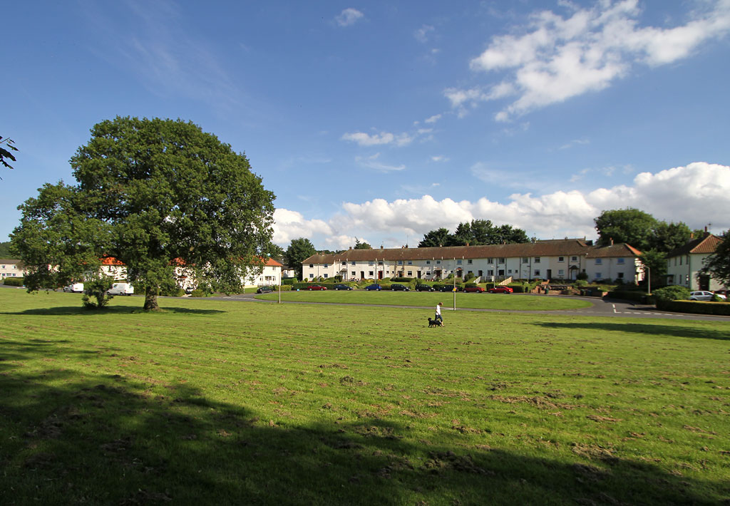 Inch Park - Oak Tree through he seasons
